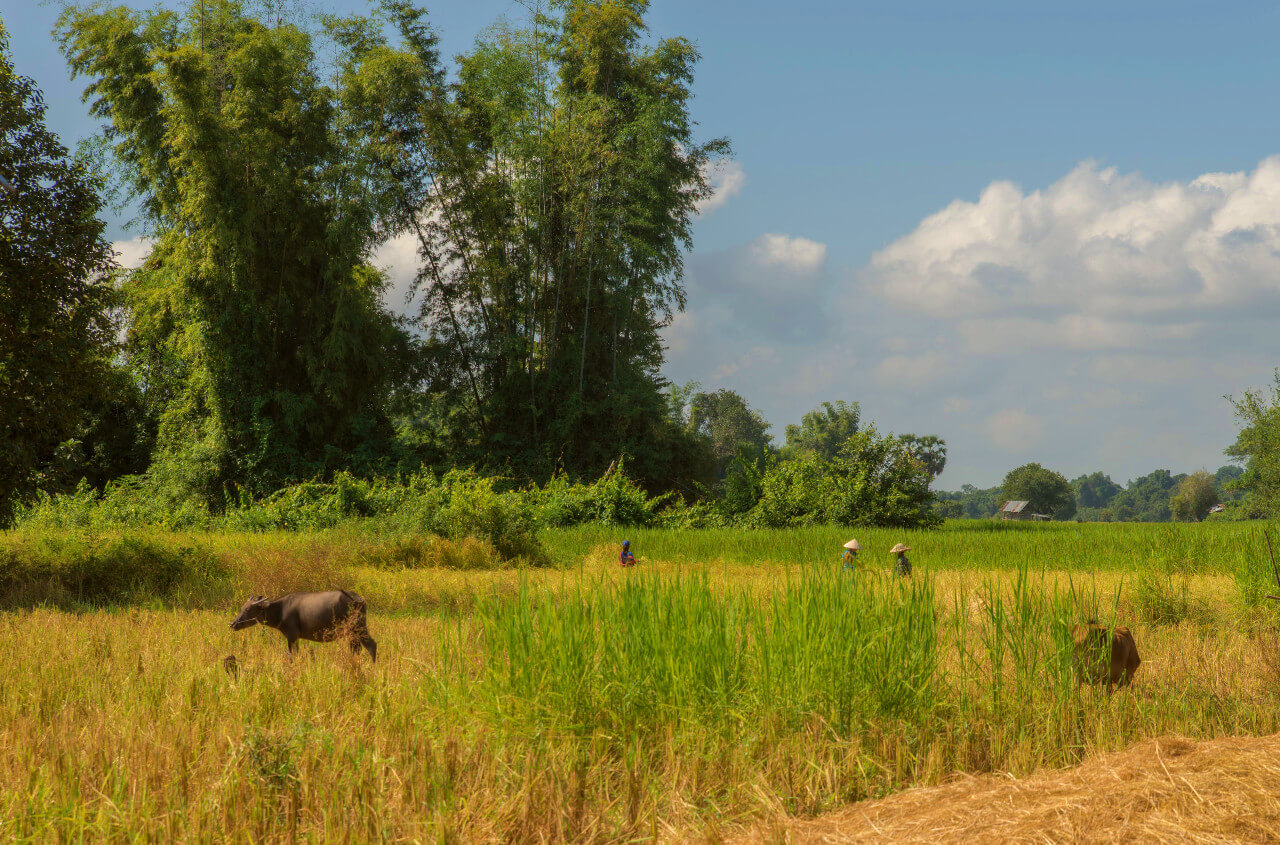 Don Daeng - La Folie Lodge & Spa | Charming Boutique Hotel on the ...