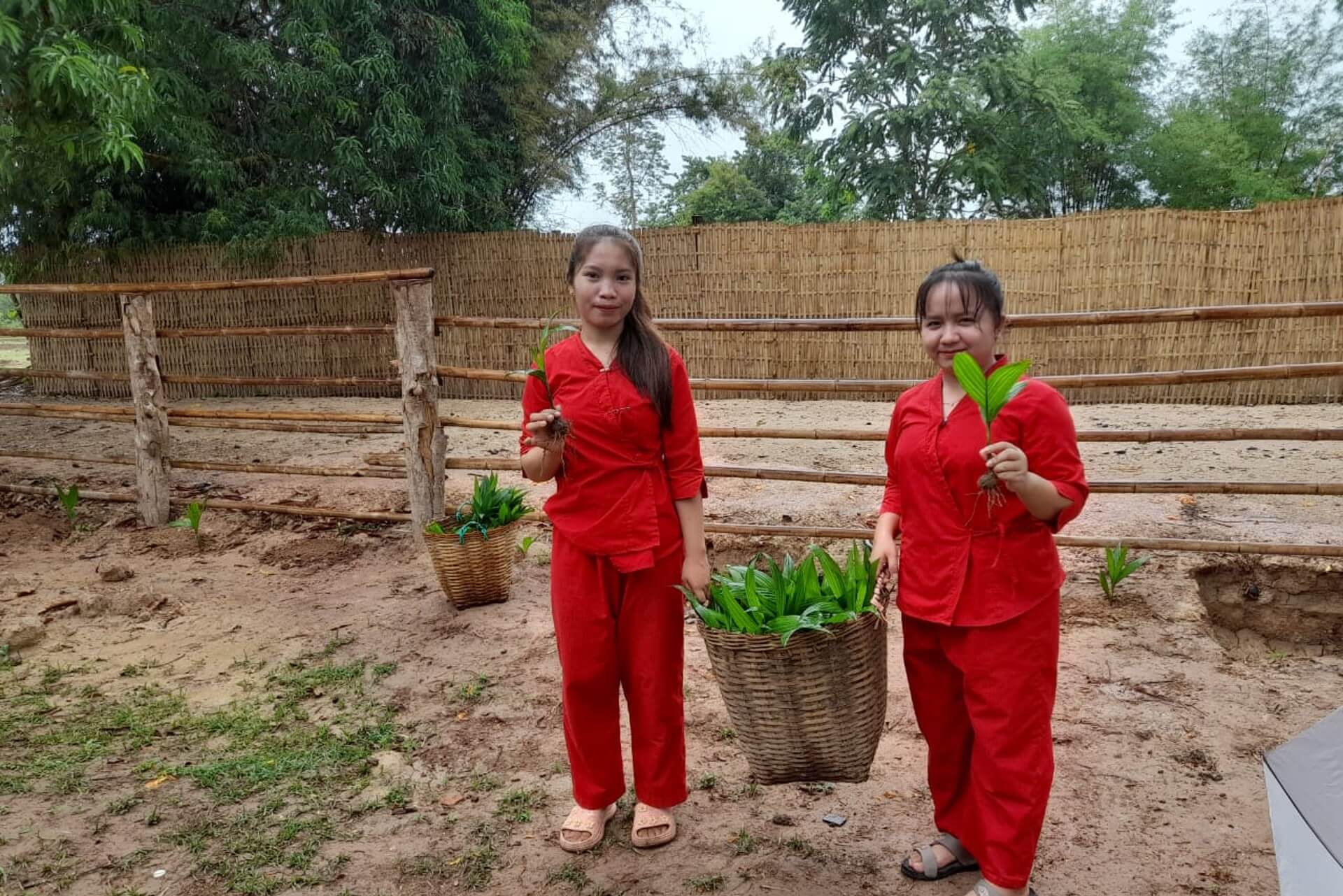 Sustainability - La Folie Lodge & Spa | Charming Boutique Hotel on the ...